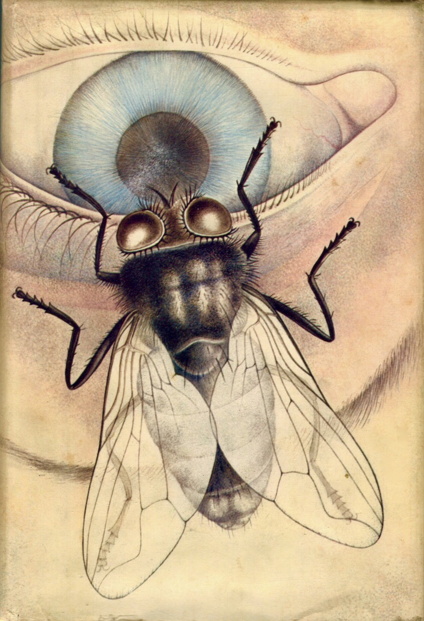 Richard Chopping and The Butterfly Effect | Artistic Licence Renewed